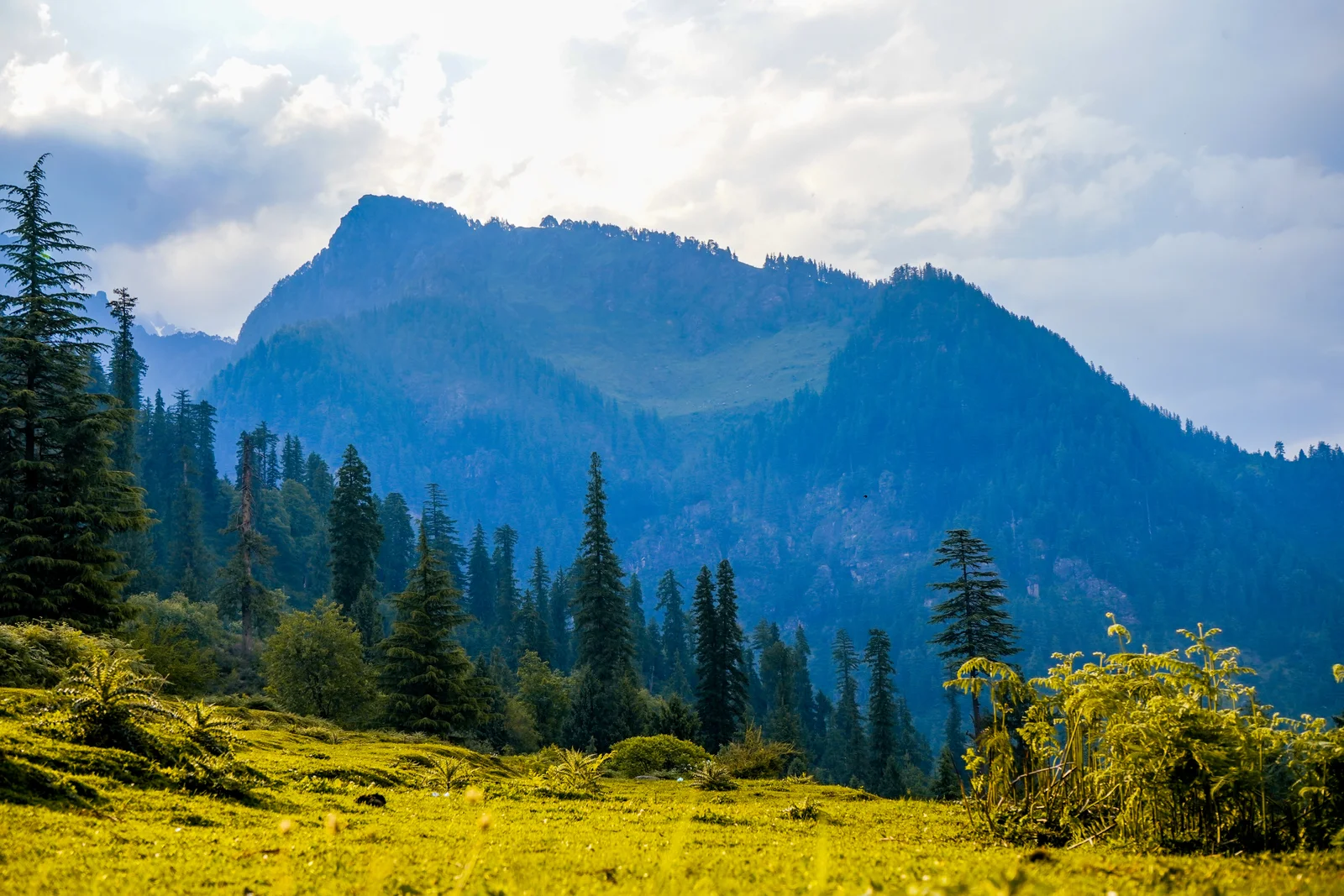 Shimla Manali Tour | Mountain Delights