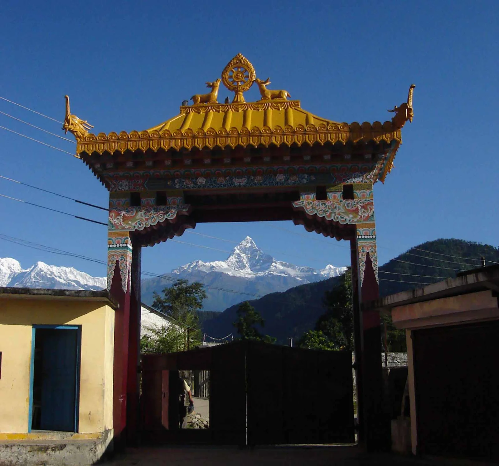Annapurna Culture Trek – Explore Traditions & Scenic Trails